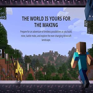 Buy ZYGO TECH Minecraft Java Edition PC Gift Card Redeem Code (No CD ...