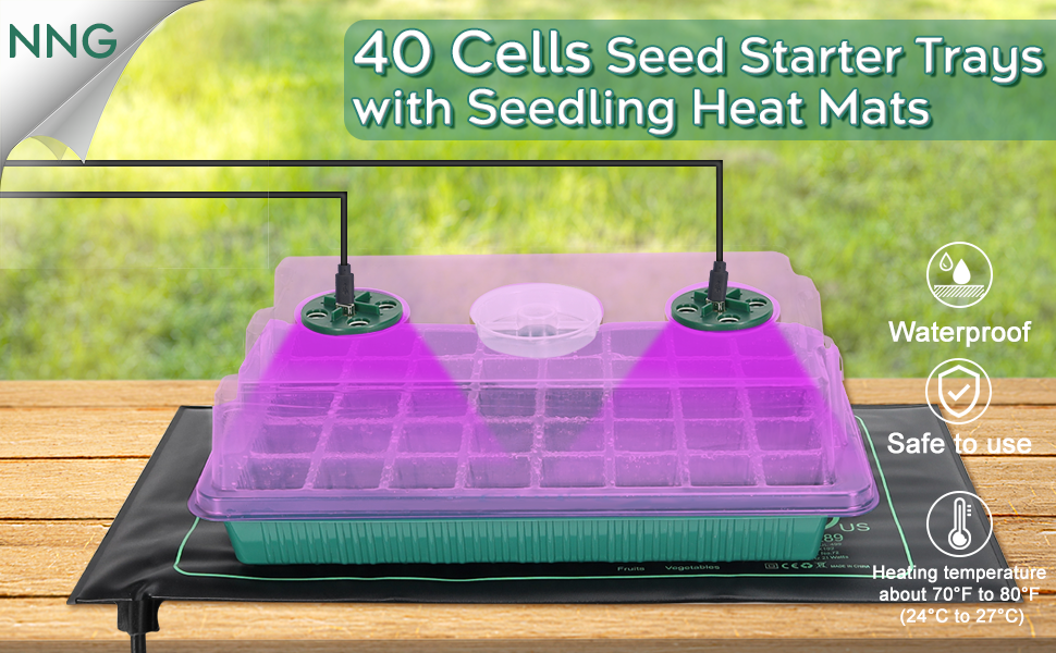 Amazon.com : NNG 40 Cells x 2 Pack Seed Starter Tray Kit with Heat Mat,Plant Germination Trays ...