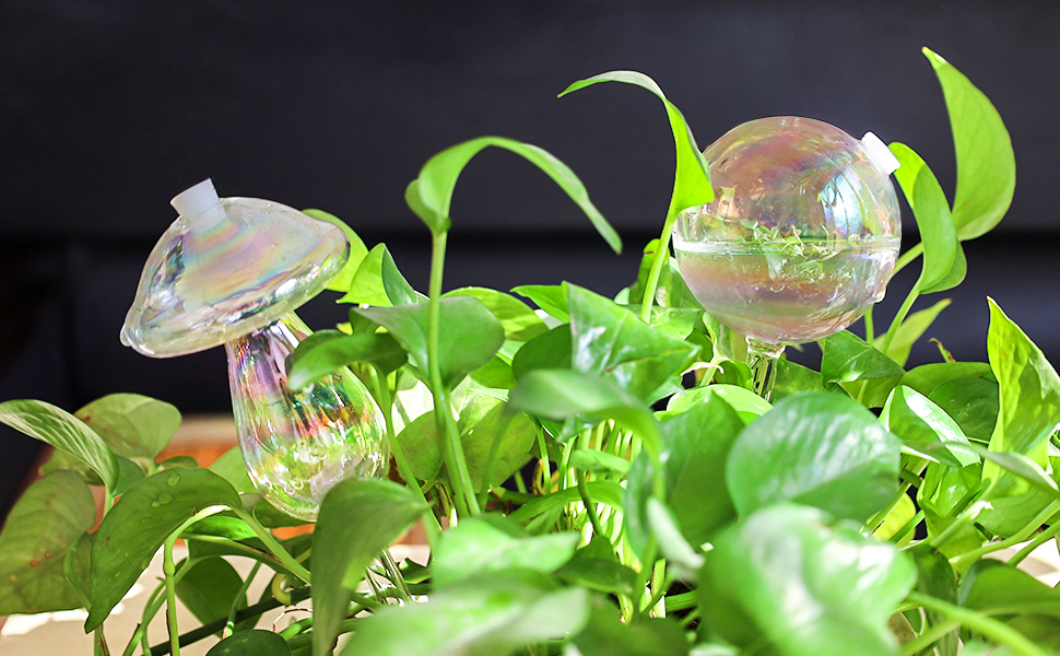 Amazon.com: KiKiHeim 4 Pcs Plant Watering Globes, Top Fill Self Watering Planter Insert Spikes ...