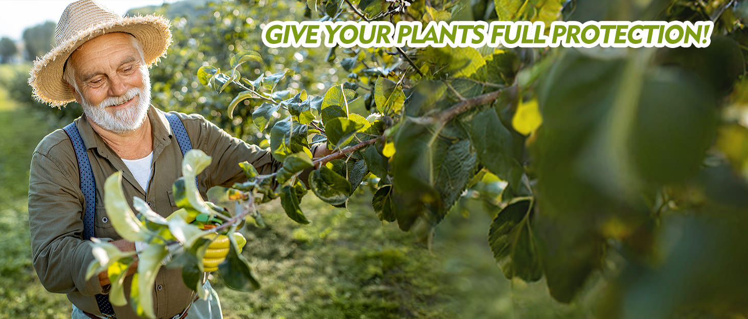 Amazon.com : 10x10Ft Large Fruit Tree Netting Cover with Zipper, Garden Netting Pest Barrier ...