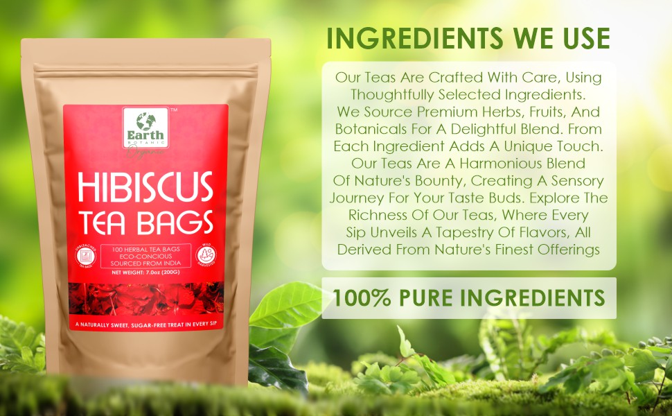 Amazon.com : Earth BOTANIC Organic Hibiscus Tea Bags - Eco-Conscious Tea Bags in Kraft Bag - 100 ...