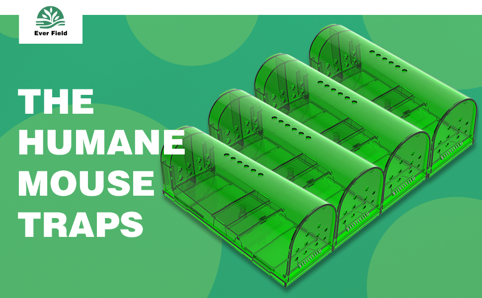Amazon.com : 4 PACK Mouse Traps Humane Catch and Release, Live Mouse Trap No Kill, No Touch, Pet ...