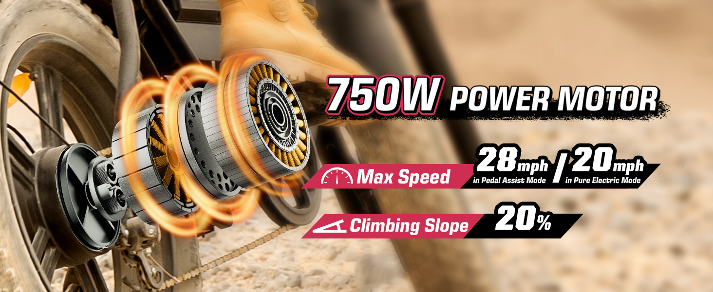 Amazon.com : Windone K2 Electric Bike for Adult,Ebike for Adults with 750W Power Motor,48V13Ah ...