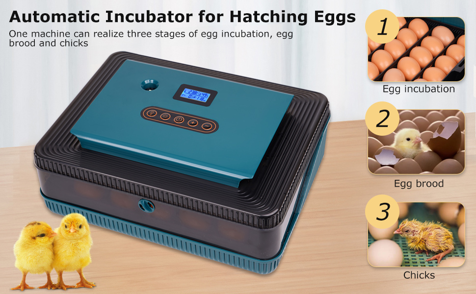 Amazon.com: 25 Eggs Incubators for Hatching Chicken Eggs Incubator with Automatic Egg Turning ...