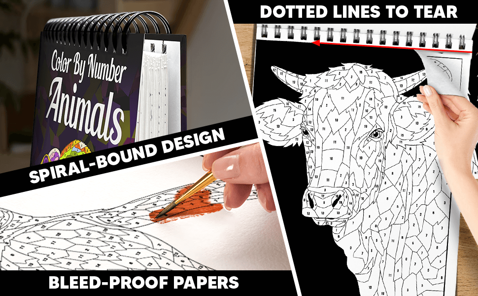 Amazon.com: SOUTHERN LOTUS Color by Number Animals Spiral Coloring Book Wirebound Papers with ...