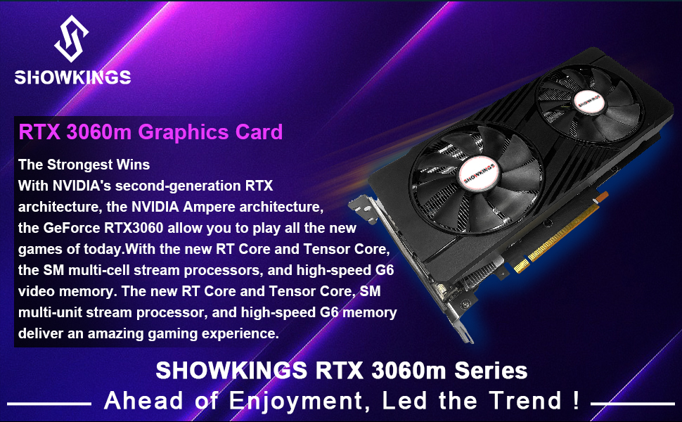 Amazon.com: SHOWKINGS GeForce RTX 3060m Graphics Card, 6GB GDDR6 192bit Video Card for Gaming ...