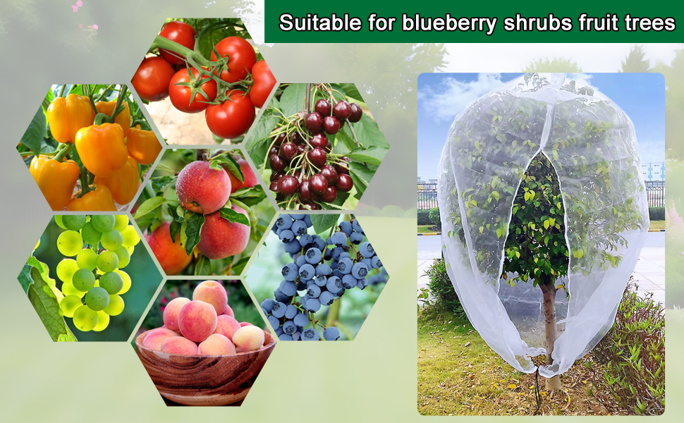 Amazon.com : 8.2x8.2ft Large Tree Netting for Fruit Trees Keep Birds Squirrels Cicadas and Small ...