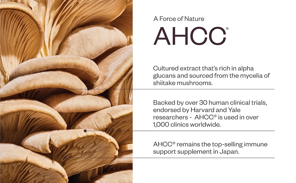 Amazon.com: SHII AHCC Clinical Strength,10 Days Supply – Vegan, Gluten-Free Immune Support ...