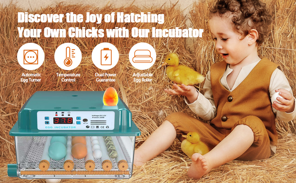 Amazon.com: Ownsig Eggs Incubator with Automatic Egg Turning, Temperature Humidity Control, 16 ...