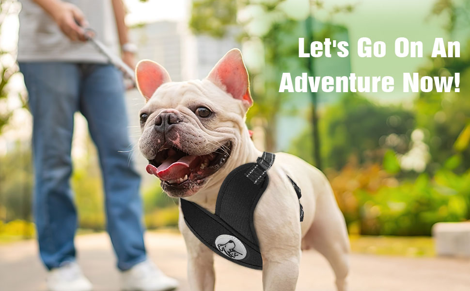 Pawaboo Dog Harness with Leash Set, X-Frame No Pull Pet Harness, Adjustable Choke Free Dog Vest ...