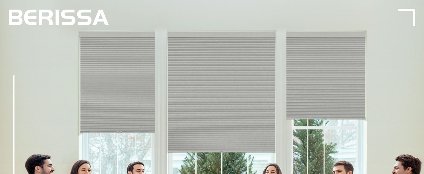 Amazon.com: BERISSA Custom Cellular Shades Cordless, Blackout Cellular Window Blinds, Pull Down ...