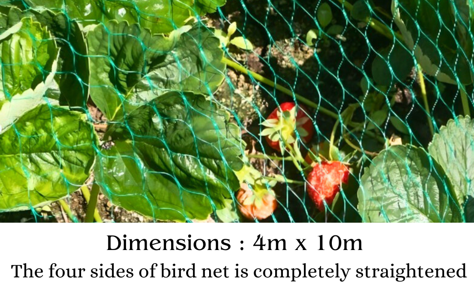 Requisite Needs 4m x 10m Green Garden Netting, Bird Netting Pond Plant Netting for Protecting ...