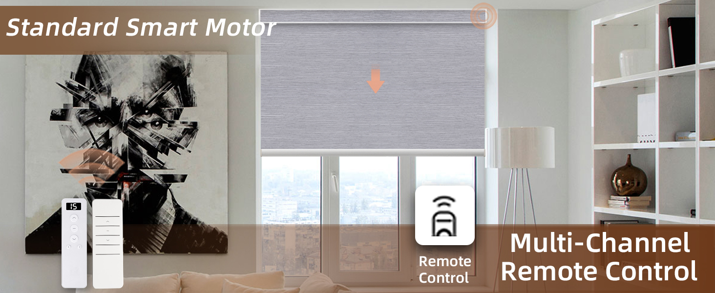 Amazon.com: Motorized Blinds Roller Shade with Remote: Canisteo Automatic Smart Blind for ...