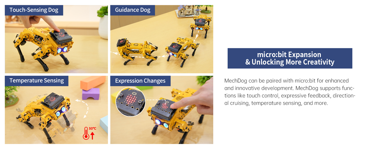 Amazon.com: Hiwonder MechDog Smart Robot Dog for Arduino,Scratch,and Python with ESP32 ...