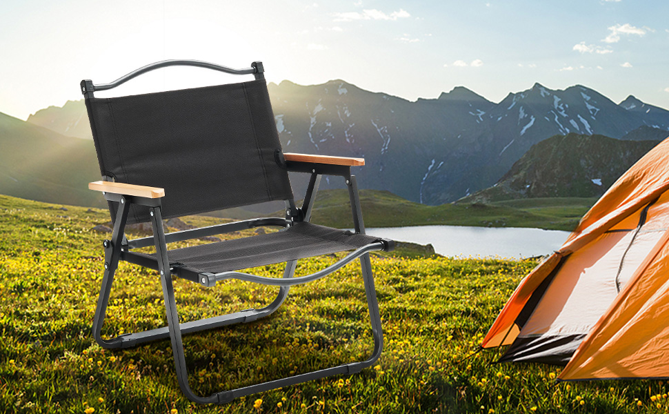 Silla Plegable de Camping,Estructura de Acero Resistente y Asiento de Lona Impermeable,Silla ...
