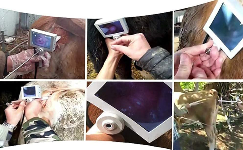 Amazon.com: Gexmil Cow Artificial Insemination Device Cow Visual Endoscope Sperm AI Gun Tools ...