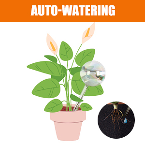 Amazon.com: KintKita Clear Glass Plant Watering Globes -Self Watering Blubs Auto-Drippers System ...