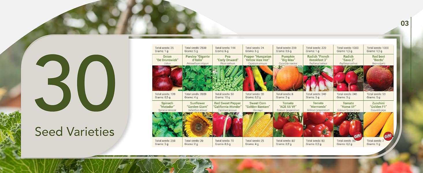 Amazon.com : Garden Pack 30 Vegetable Seeds Variety Kit - Over 15000 Seeds for Planting ...