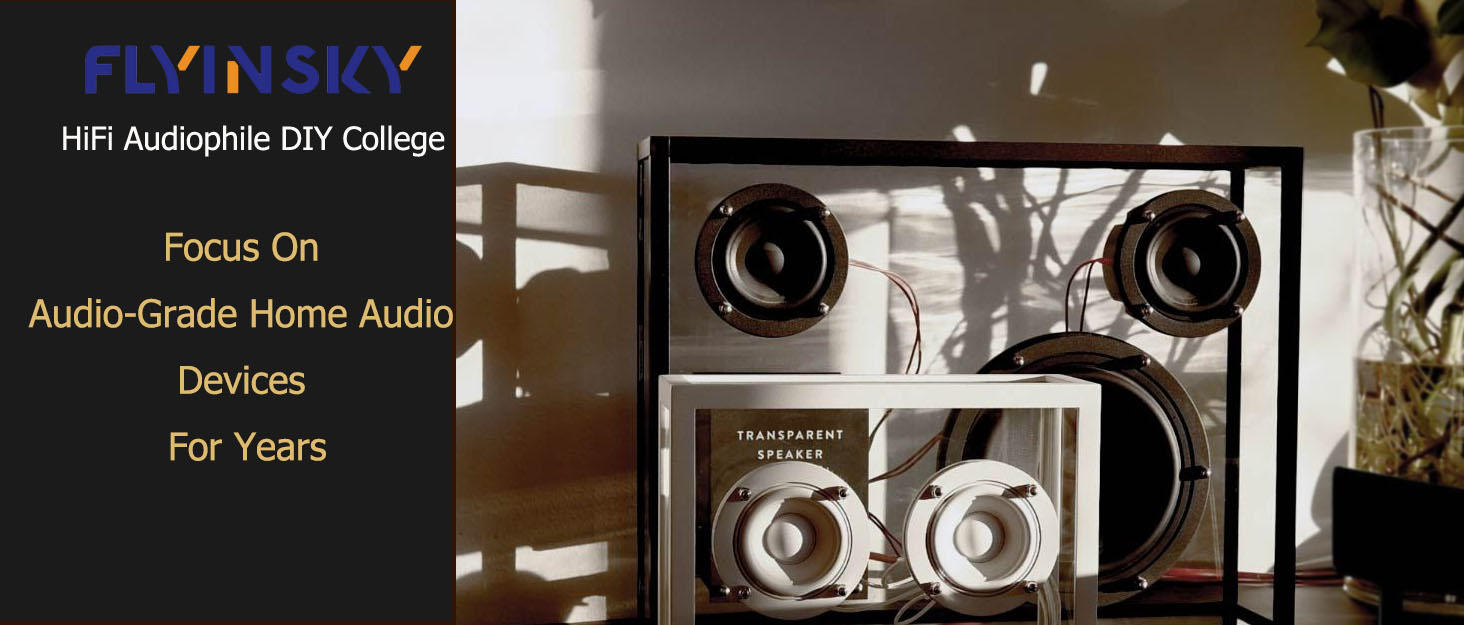 FLYINSKY High End Audiophile R2R DAC Audio Converter HiFi Architecture Decoder AD1865 NOS Tube ...