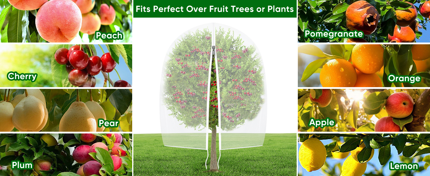 Amazon.com : Large Fruit Trees Netting Zipper - 2Pcs 10X10 FT with Drawstring Bird-Proof,Durable ...