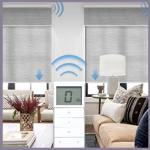 Amazon.com: Graywind Motorized Dual Shades Smart Double Blinds Blackout and Light Filtering ...