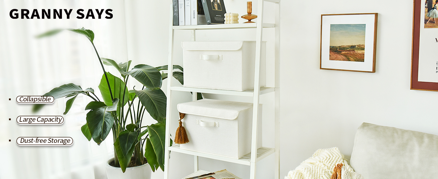 Amazon.com - GRANNY SAYS Storage Bins with Lids, Fabric Storage Boxes ...