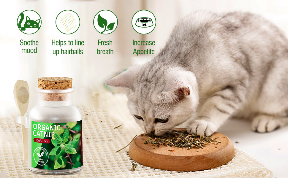 Amazon.com : Hkpetty Natural Catnip for Cats,1.05 oz Cat Premium Organic Catnip,Safe & Non ...