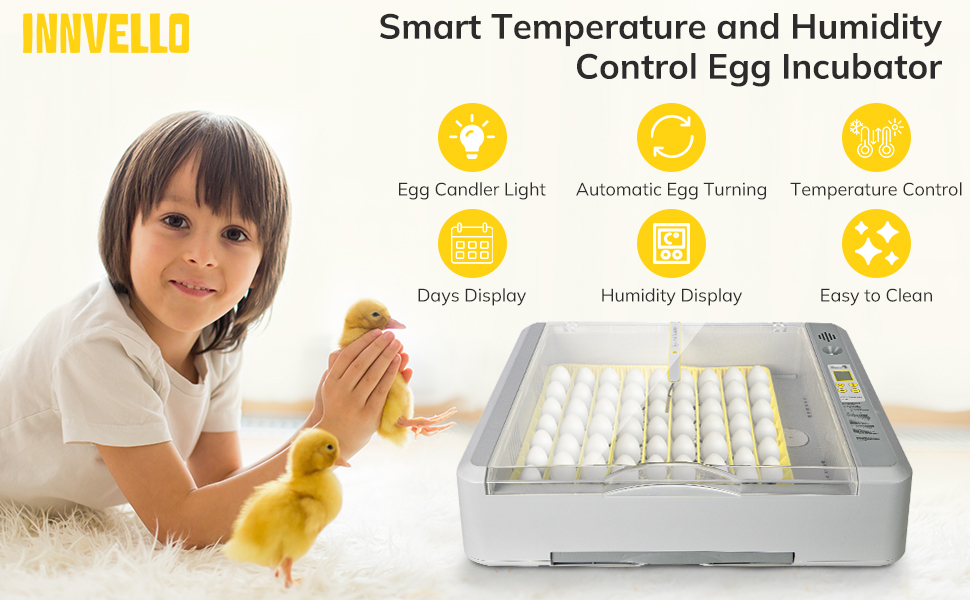 Amazon.com: 36-60 Egg Incubator with Automatic Egg Turning and Humidity Control, 360° View ...