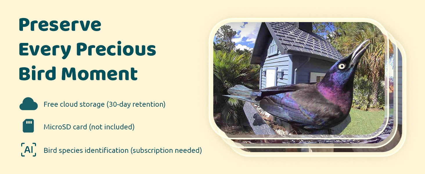 Amazon.com : NETVUE by Birdfy Smart Bird Feeder Camera, Adjustable Brackets, Auto Bird Video ...