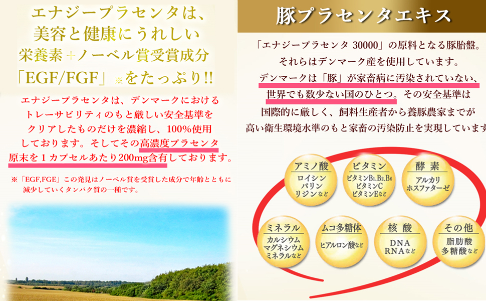 Amazon | エナジー プラセンタ 30000 30カプセル プラセンタ30000mg EU原産 50倍濃縮プラセンタ配合 純度100％ | energy | プラセンタ
