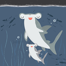 Amazon.com: Grab Your Pillow, Armadillo: A Silly Book of Fun Goodnights (Lift-the-Flap ...