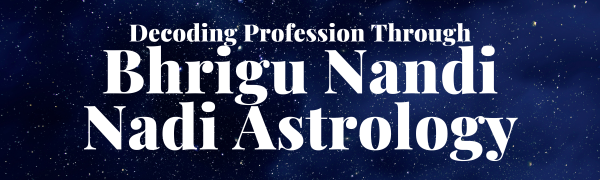 Decoding Profession Through Bhrigu Nandi Nadi Astrology : Dr. Mukesh Kumar Gupta: Amazon.in: Books