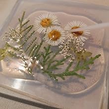 Amazon.com: UV Resin Soft 80g Crystal Clear Epoxy, Quick-Curing, Low Viscosity, Low Shrinkage ...