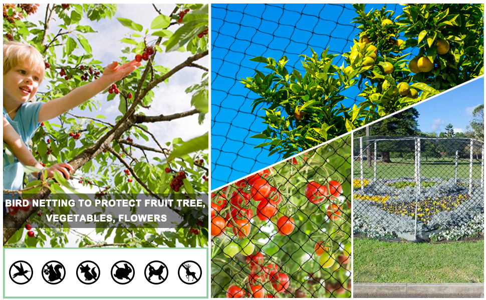 BSTPCOO 25'x25' Bird Netting for Chicken Coop, 3/4" Mesh Poultry Netting Roof Hawk, Aviary Deer ...