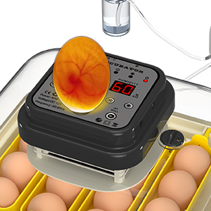 Amazon.com: Chalixion Incubators for Hatching Eggs, 16 Egg Incubator with Automatic Humidity ...