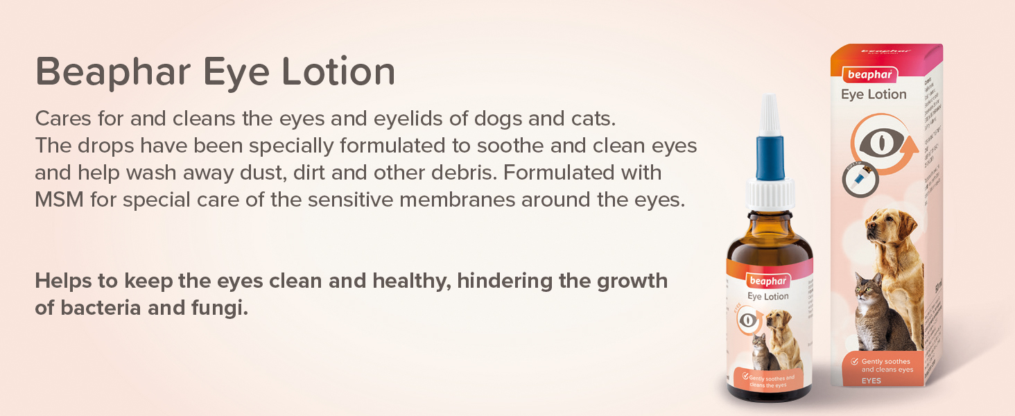 Beaphar | Eye Gel | For Cats, Dogs, Rabbits, Guinea Pigs, and Small Animals | Cleans, Soothes ...