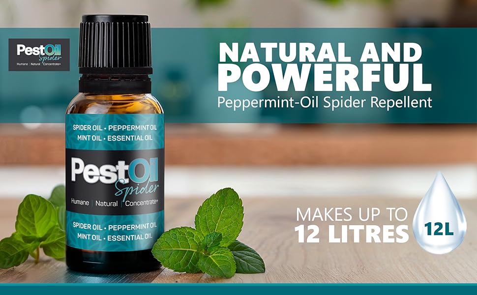 PestOil Spider– Peppermint Oil, Makes 12 litres Spider Repellent, Natural Peppermint Essential ...