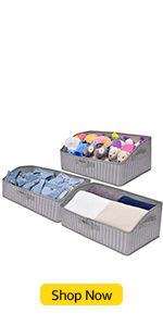 Amazon.com: GRANNY SAYS Storage Bins with Lids, Decorative Storage ...
