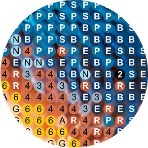 Amazon.com: MOGTAA Polar Bear Diamond Art Kits for Adults, 5D Full ...