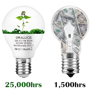 Amazon.com: ORALUCE E17 LED Bulb 5 Watts Cool White 6500K, 40W Equivalent A15/G45 Globe Ceiling ...