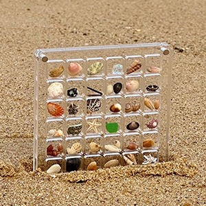 Amazon.com: Acrylic Magnetic Seashell Display Box, 36/64/100 Grids Clear Acrylic Seashell ...