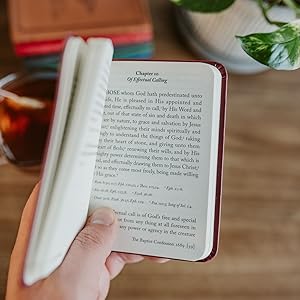 The Baptist Confession of Faith 1689 (Pocket Puritans) (Gift Editions): Various: 9781848711822 ...