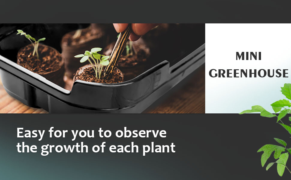 Amazon.com : 5 Pack Seed Starter Tray Seeding Starter Kits (50 Cells Total Tray)+ 50pcs Peat ...