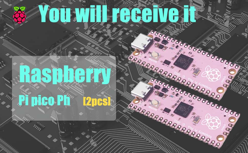 Digishuo 2 Pcs Raspberry Pi Pico With 40p Pins Type C Port Based On Rp2040 Chip