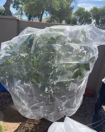 Amazon.com : Rohuis Large Fruit Tree Netting, 5.9 Ft x 6.5 Ft Garden Netting Cover with Zipper ...