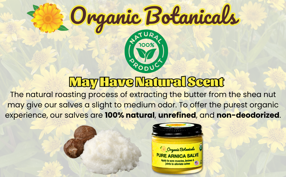Amazon.com: Organic Botanicals Pure Arnica Salve | Sore Muscle & Joint Relief Cream for ...