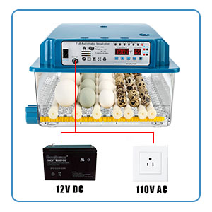 Amazon.com: Vevitts 36 Eggs Incubators for Hatching Egg Fahrenheit with Automatic Turner ...