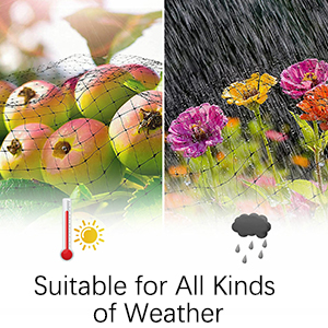 Amazon.com : Fabulas Bird Netting Heavy Duty 25' x 50' Poultry Netting with 1" Square Mesh Net ...