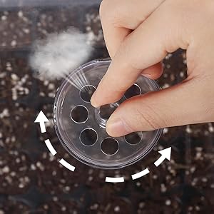 Amazon.com : SOLIGT 1020 Size Seed Starter Kit with Grow Light and Heat Mat - Strong Seed ...