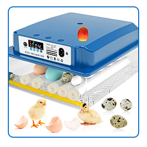 Amazon.com: Vevitts 16 Eggs Incubators for Hatching Egg with Automatic Turner, Fahrenheit ...